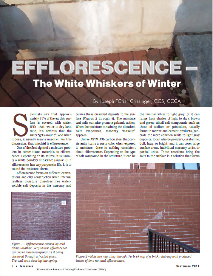 2011.09 Efflorescence | IIBEC