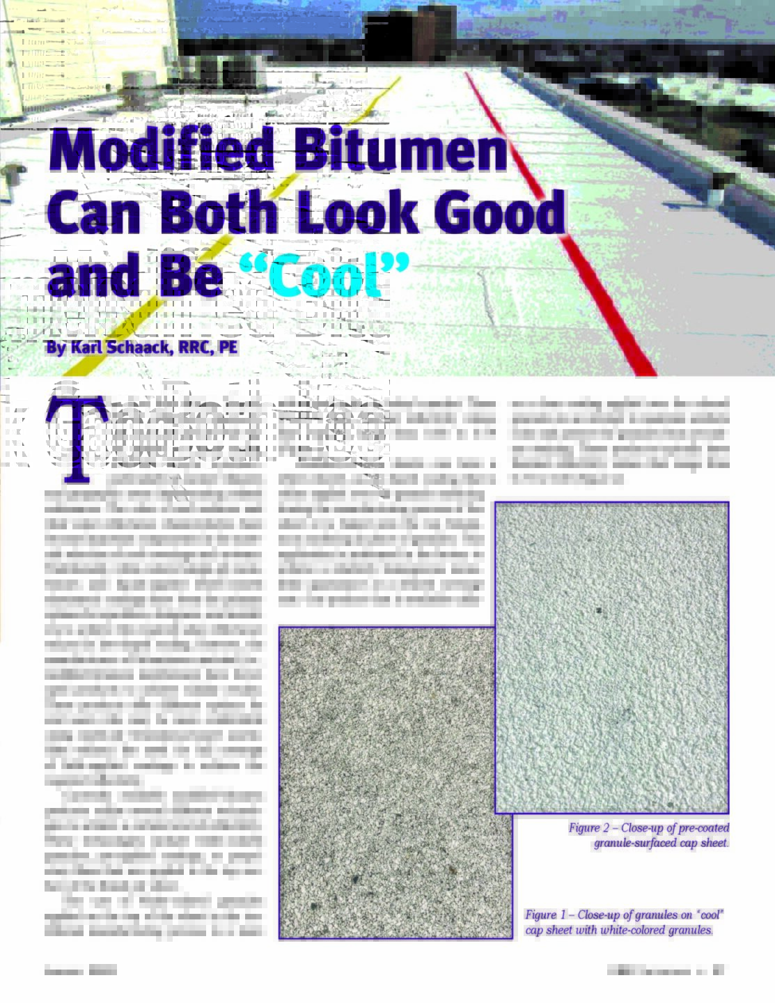 2020 01 Schaack Cover | IIBEC