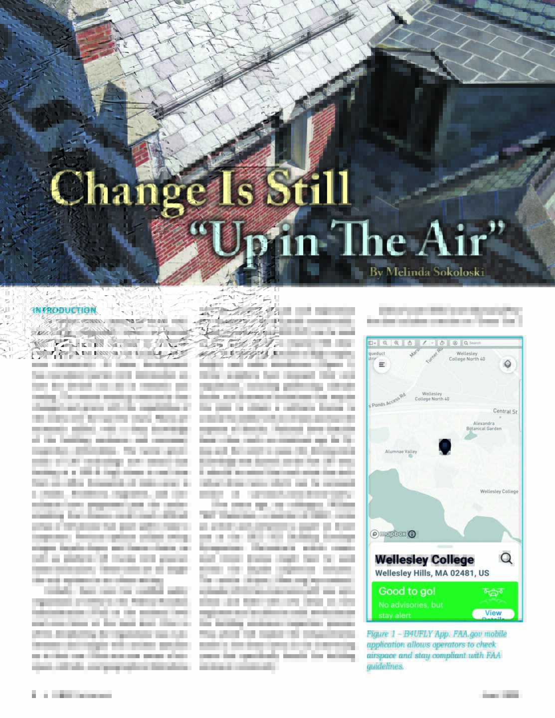 2020 06 Sokolowski Cover | IIBEC