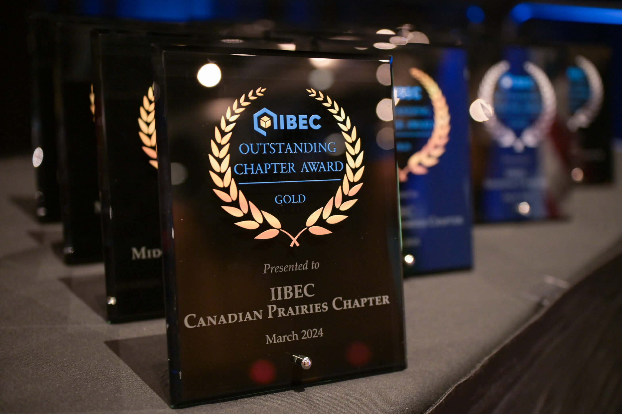 IIBECPHX 0124 | IIBEC