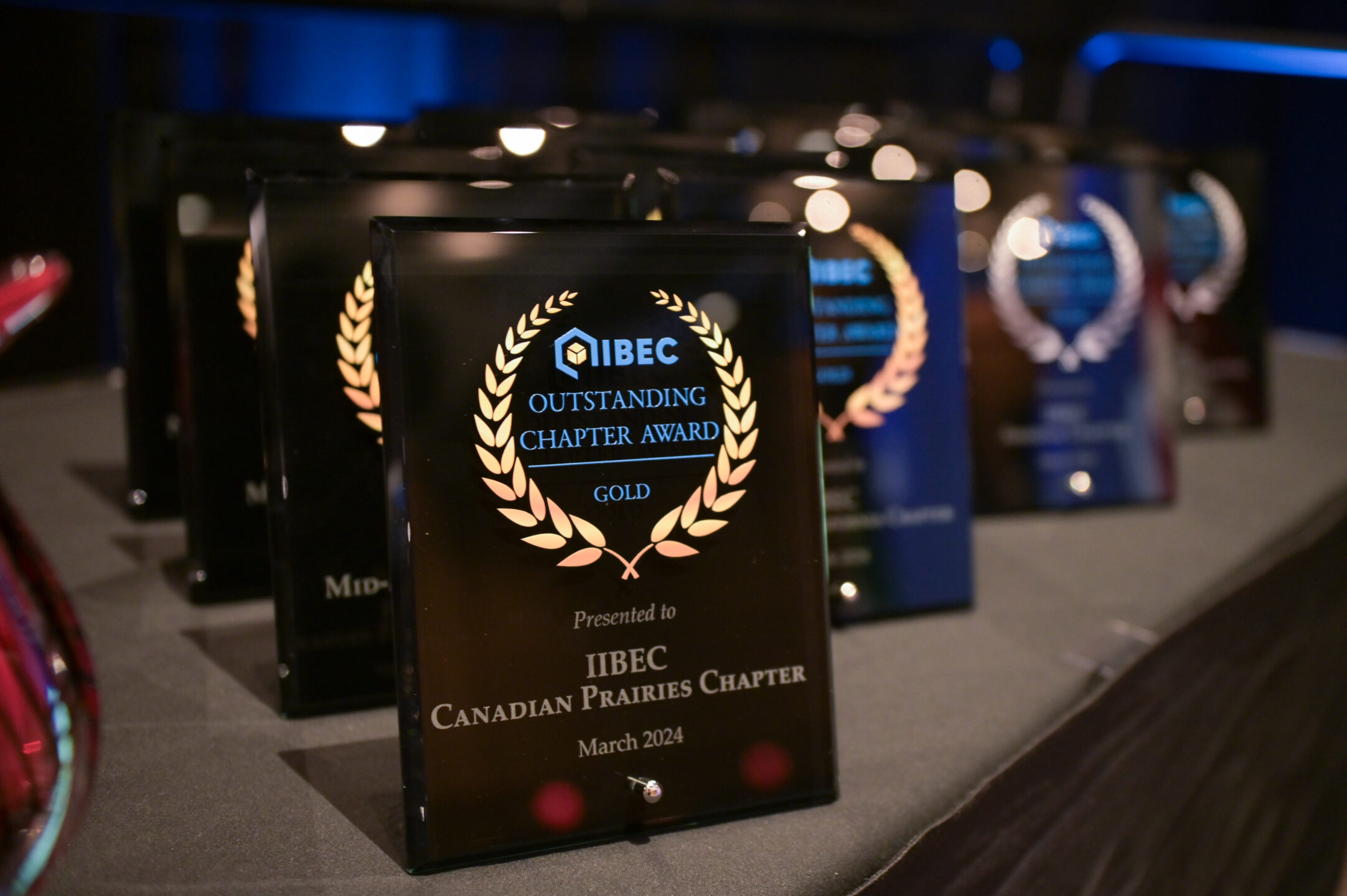 IIBECPHX 0126 | IIBEC