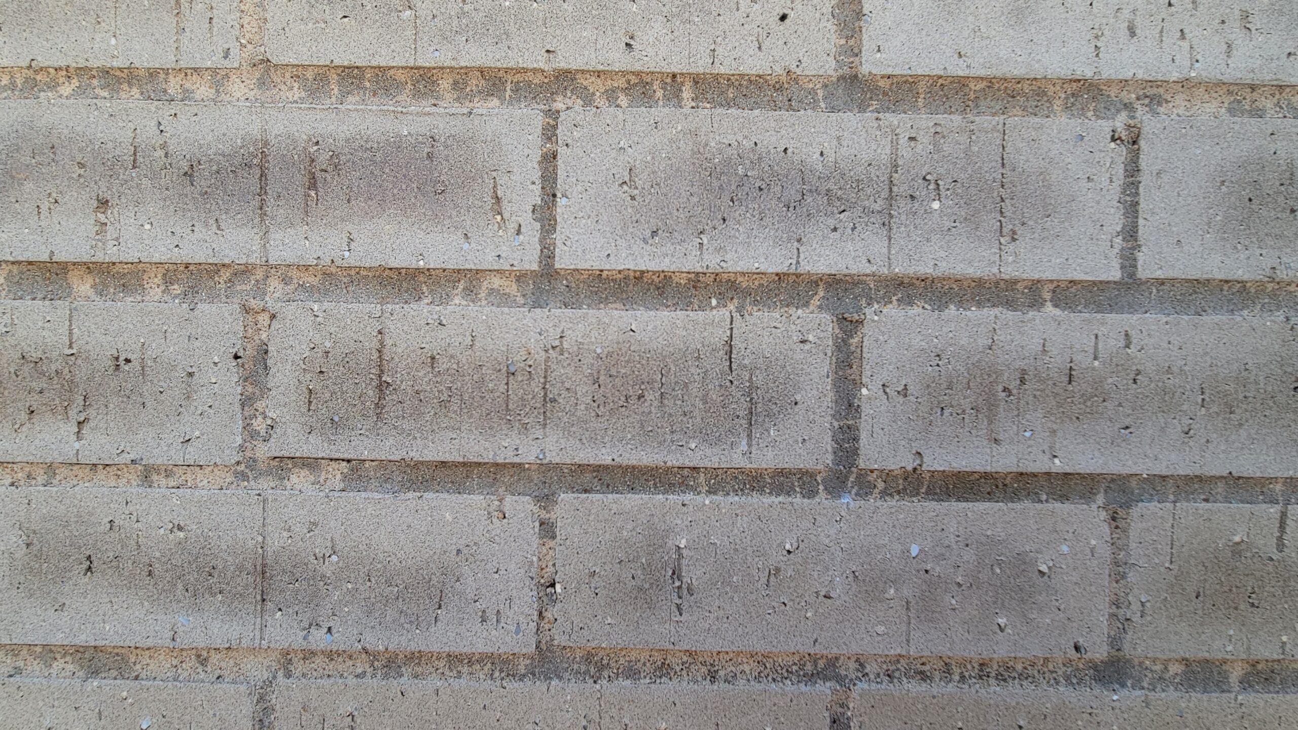 Brick Discoloration Image 1 | IIBEC
