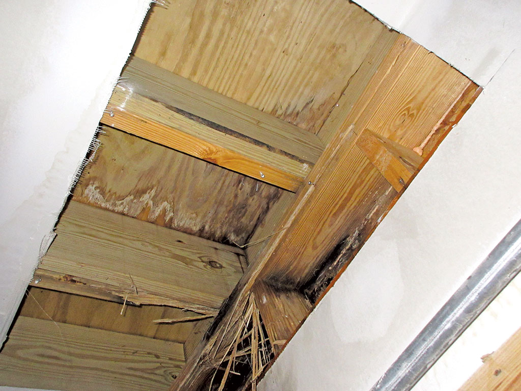 Why We Need to Rethink the Business of Mid-Rise Wood Frame Student ...