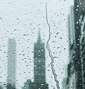 HomePageHeroblindsided | IIBEC