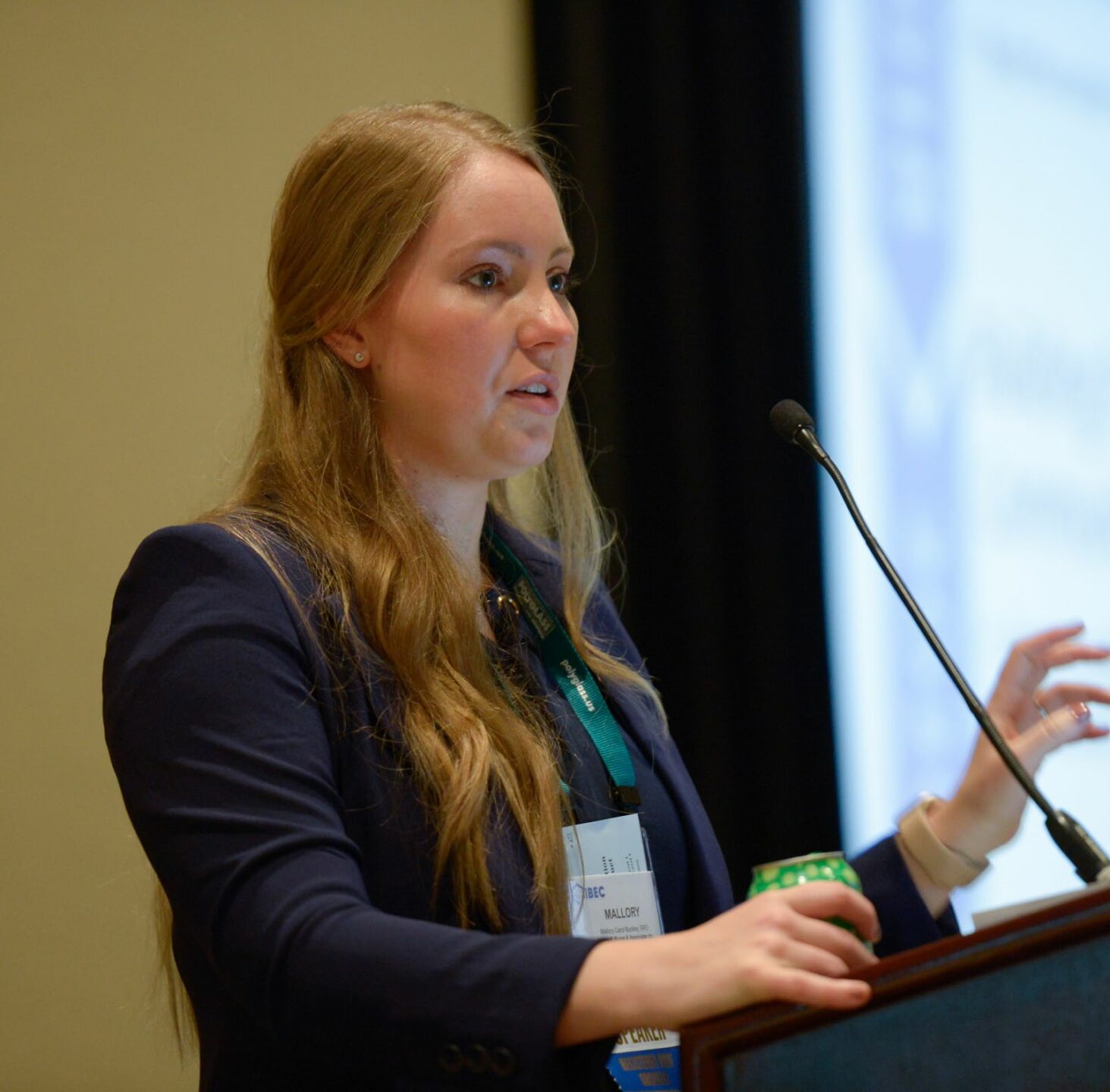 IIBEC DI Strategic Plan FINAL2 | IIBEC