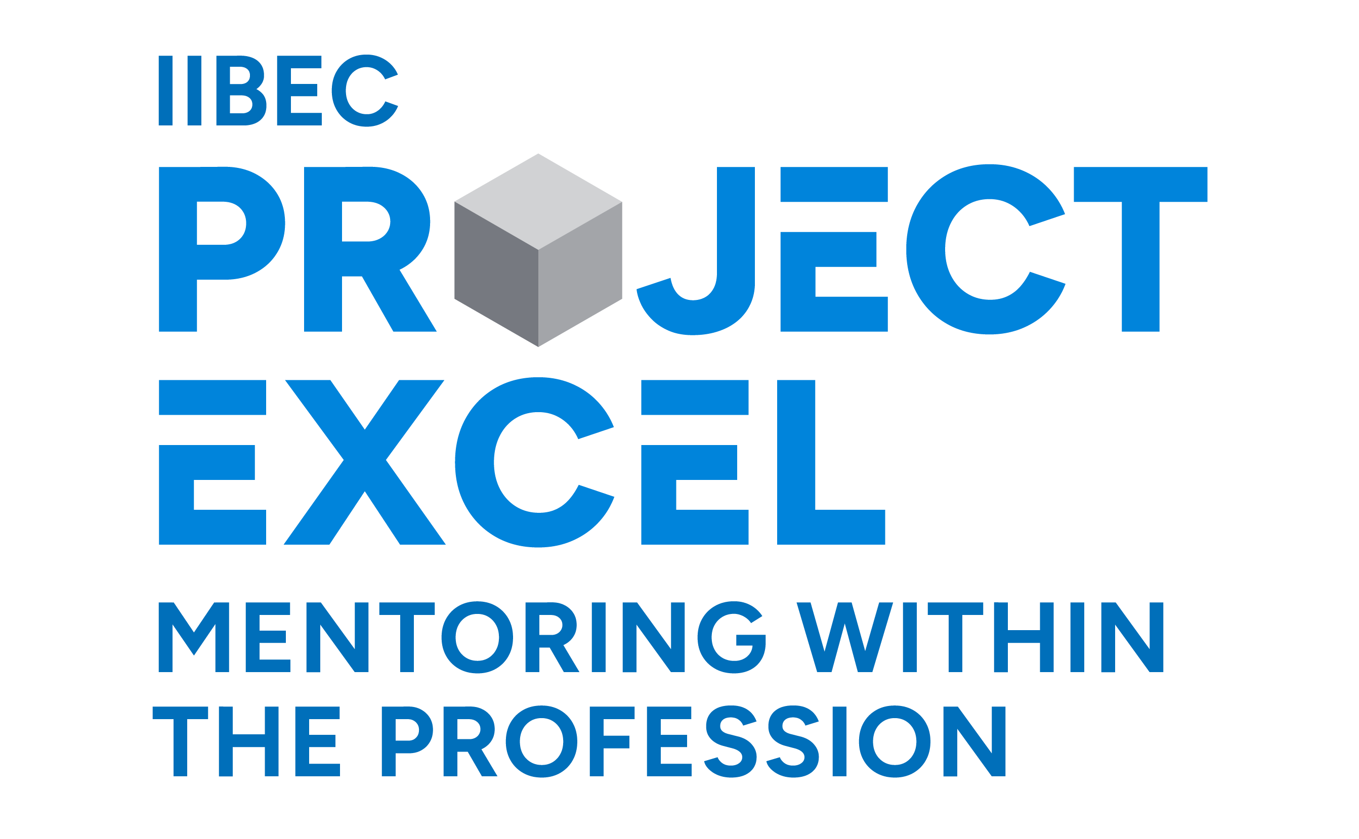 IIBEC PROJECT EXCEL MENTORSHIP BLUE | IIBEC