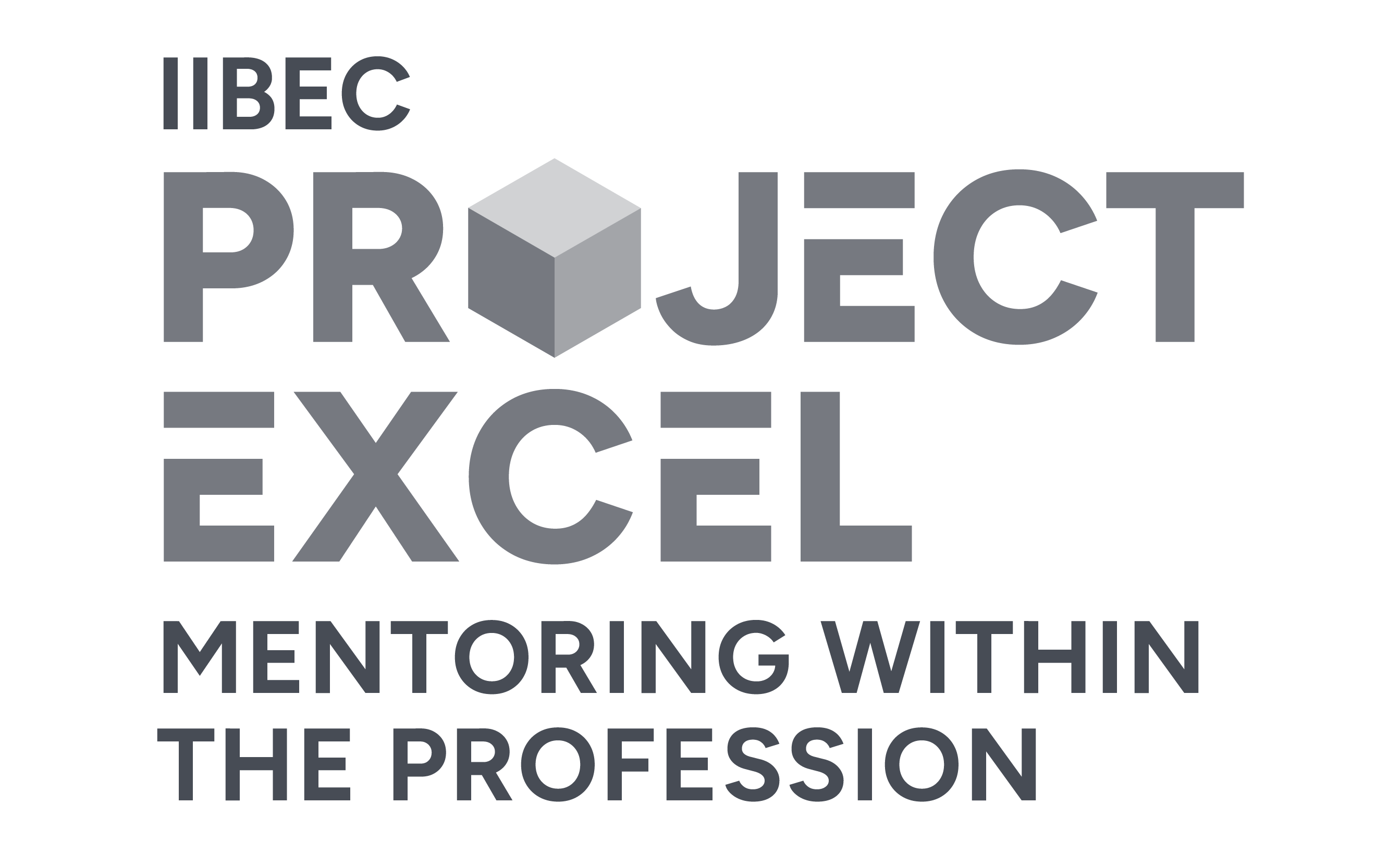 IIBEC PROJECT EXCEL MENTORSHIP COLOR | IIBEC