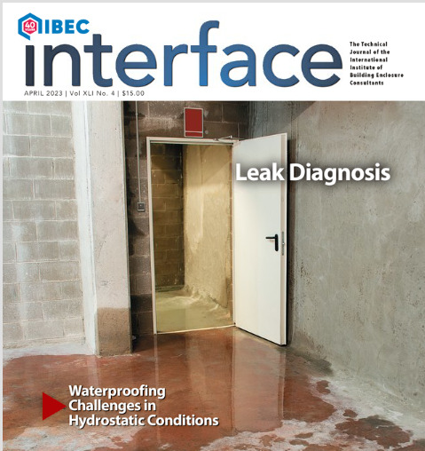 Interface Cropped | IIBEC