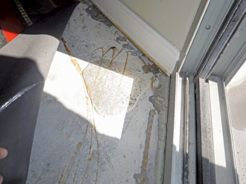 Window Receptors: Notes From the Field | IIBEC