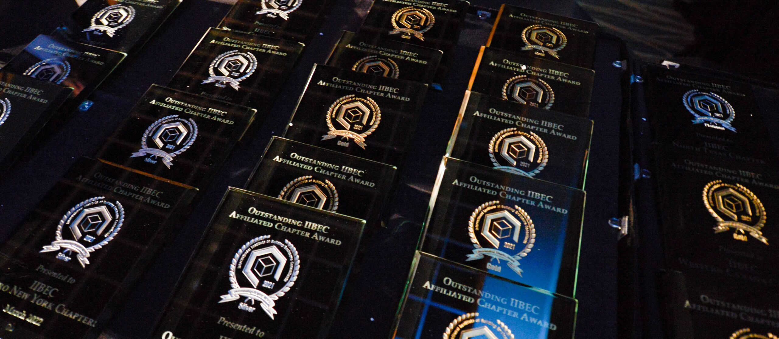 OCA Cropped (2) | IIBEC