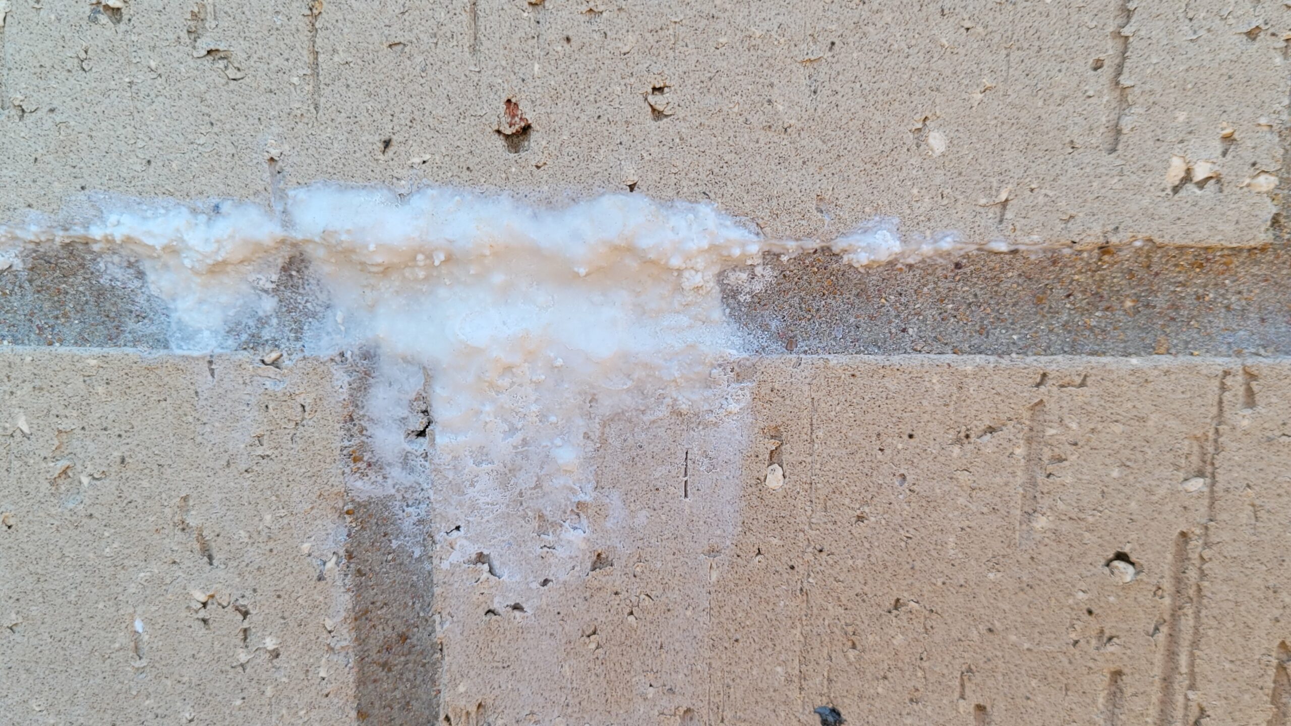 Lime Run Image 2 | IIBEC