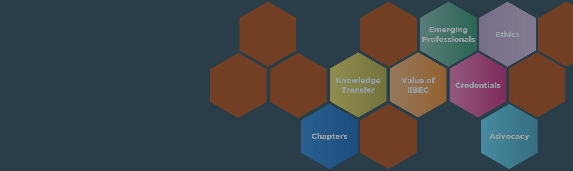 Masthead 2021review | IIBEC