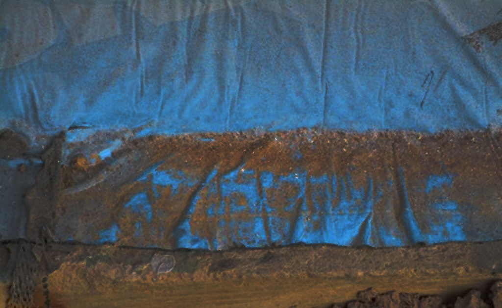 Schaack Header | IIBEC