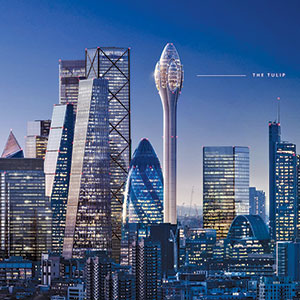 Tulip Square | IIBEC